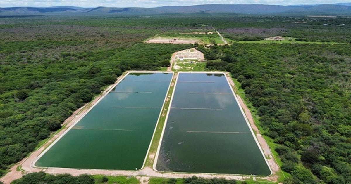 Embasa investe R$ 1,1 milhão em sistema na margem do São Francisco ...