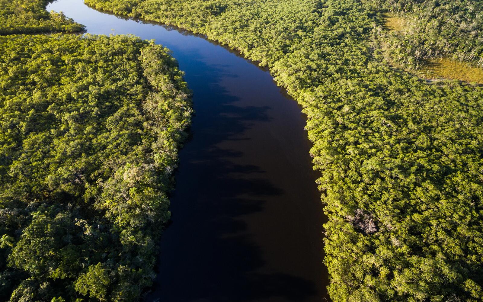Fundo Amazônia recebe novas doações de Noruega e EUA | Saneamento Ambiental