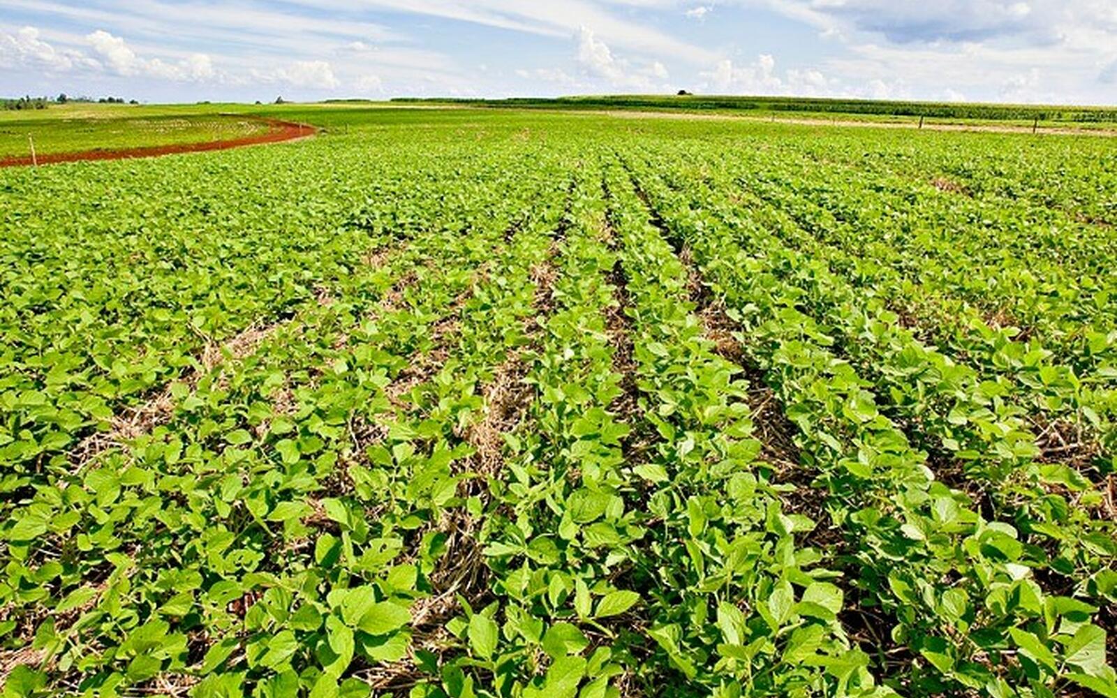 Simbiose leva biosolução agrícola para o mercado europeu | Saneamento ...